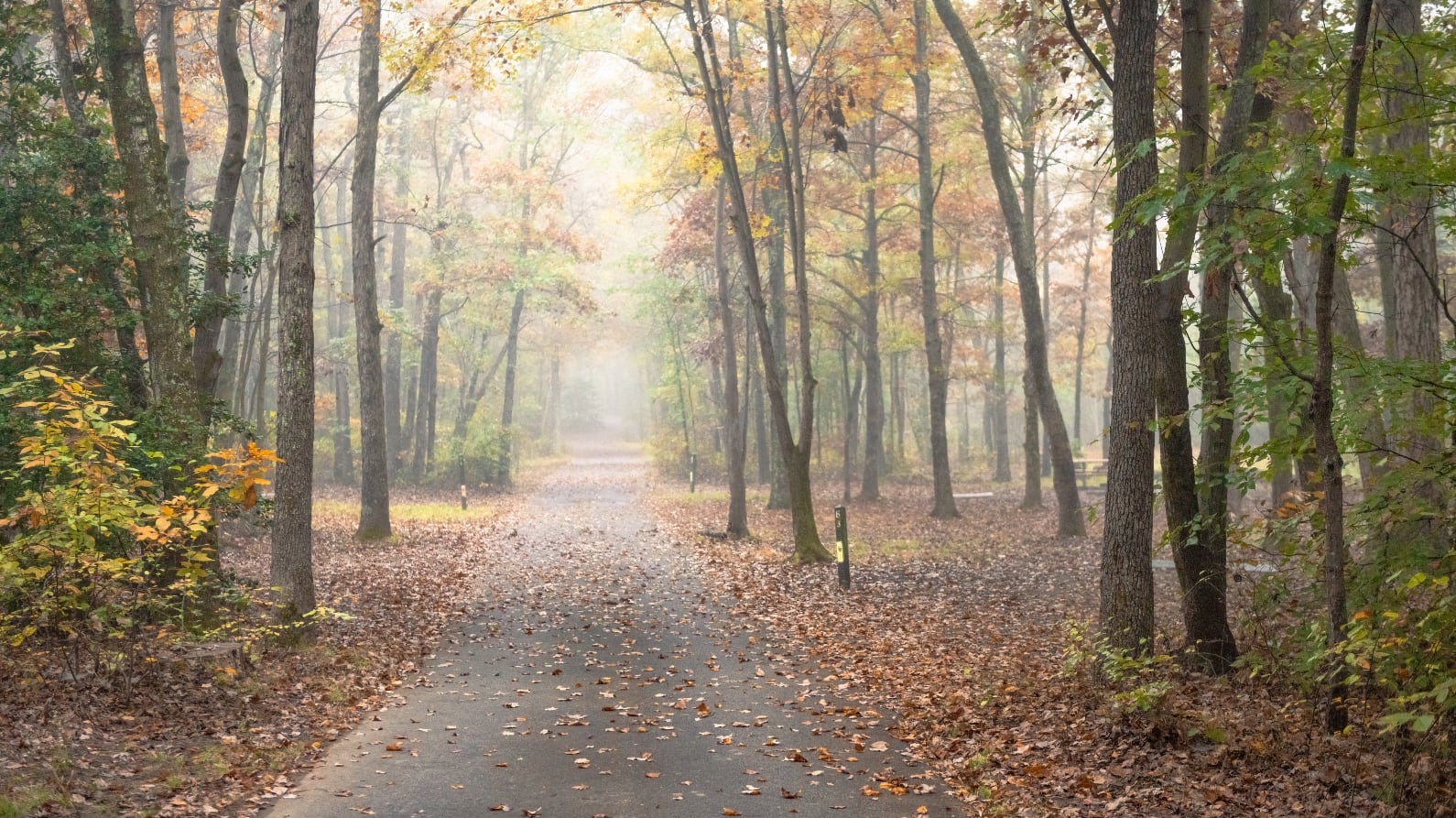 Grimes Insurance Agency – Northern Virginia’s Leader for Probate Surety ...